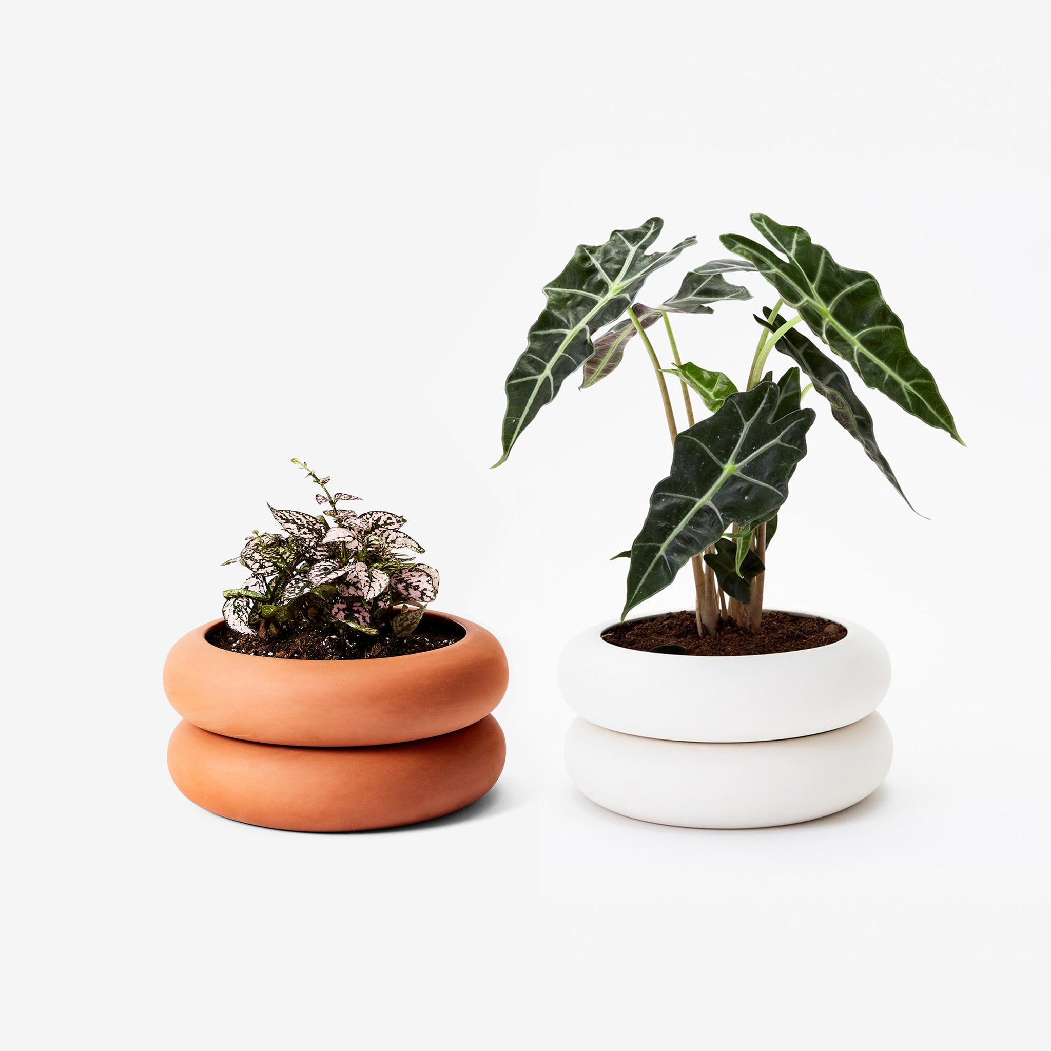 Planters & Stands - Areaware