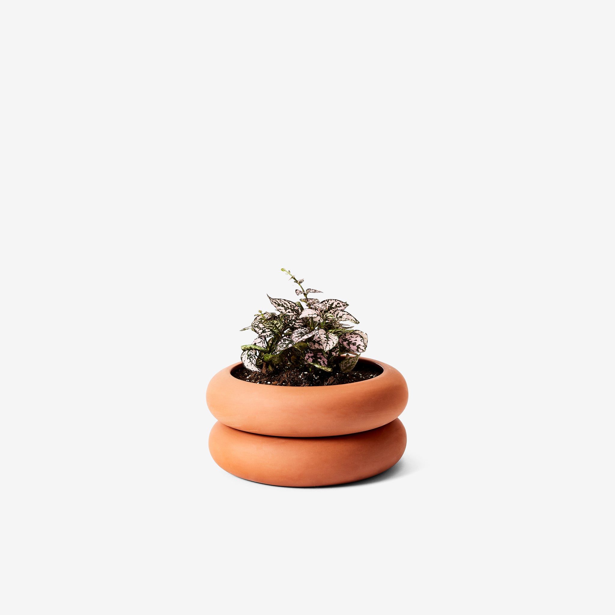 Short Stacking Planter - Areaware